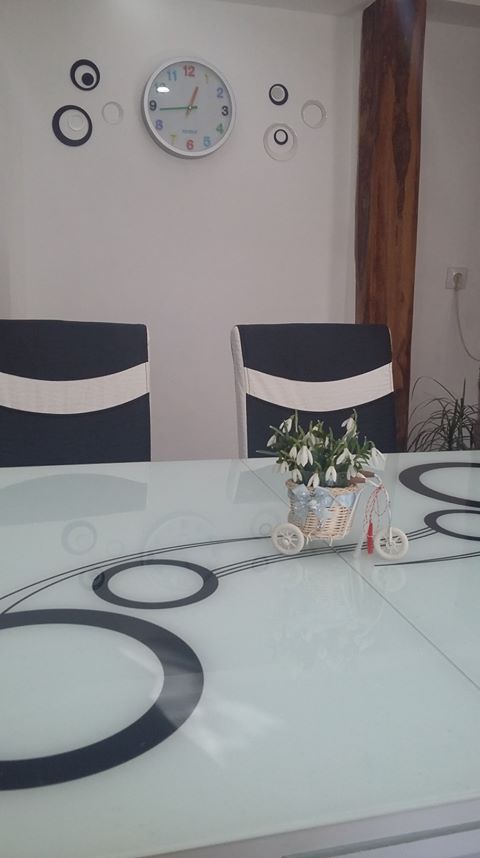 Decoraţiune cercuri colorate Duo Mono, Decoratiuni perete, Folina