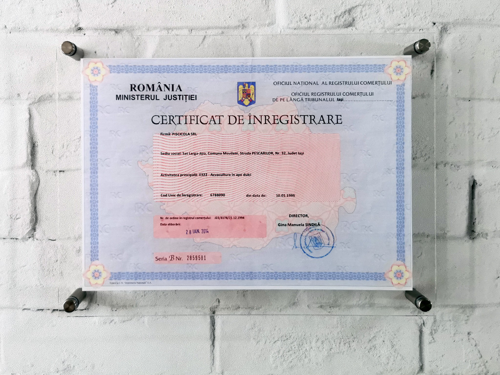 Placuta personalizata cu Certificatul de inregistrare pentru firme, din ...