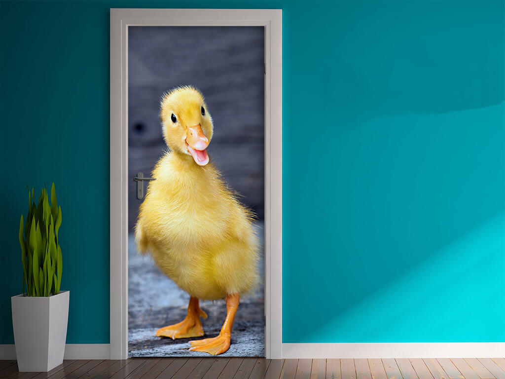 Autocolant usa cu imprimeu Boboc de rata, de la Folina, model multicolor