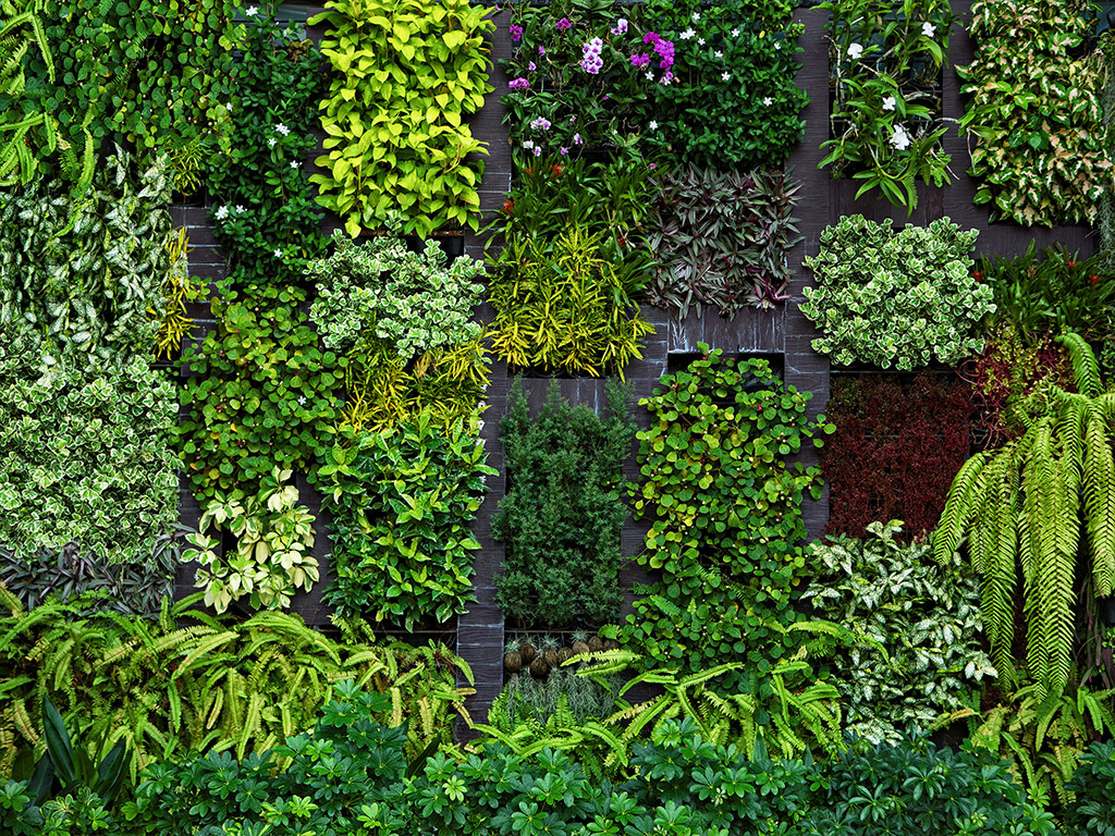 Fototapet plante verzi, Erismann, Hanging Garden, 400x270 cm