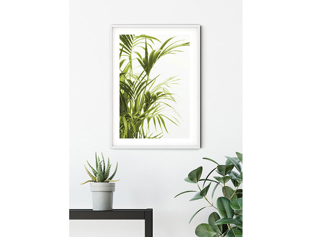 Tablou cu plante verzi Reer Leaves, Komar Art Poster, in rama alba ...