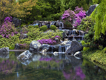 Fototapet peisaj Gradina japoneza, AGDesign, verde, 360x270 cm